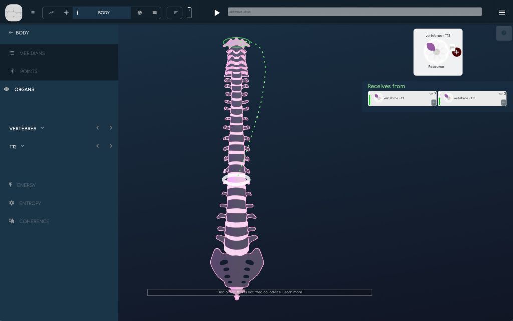 Information | BioCoherence
